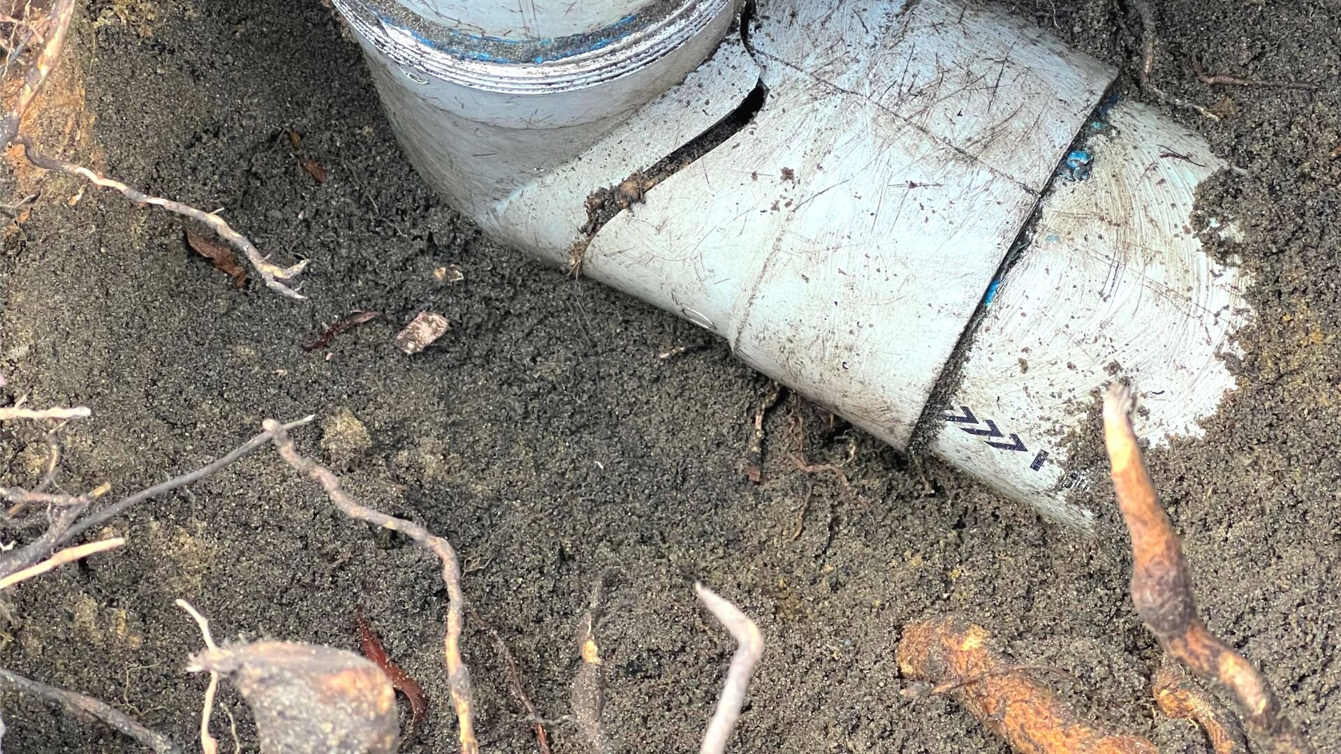 Hard to Spot Plumbing Damage Caused by Tree Roots - Nebrasky Plumbing ...